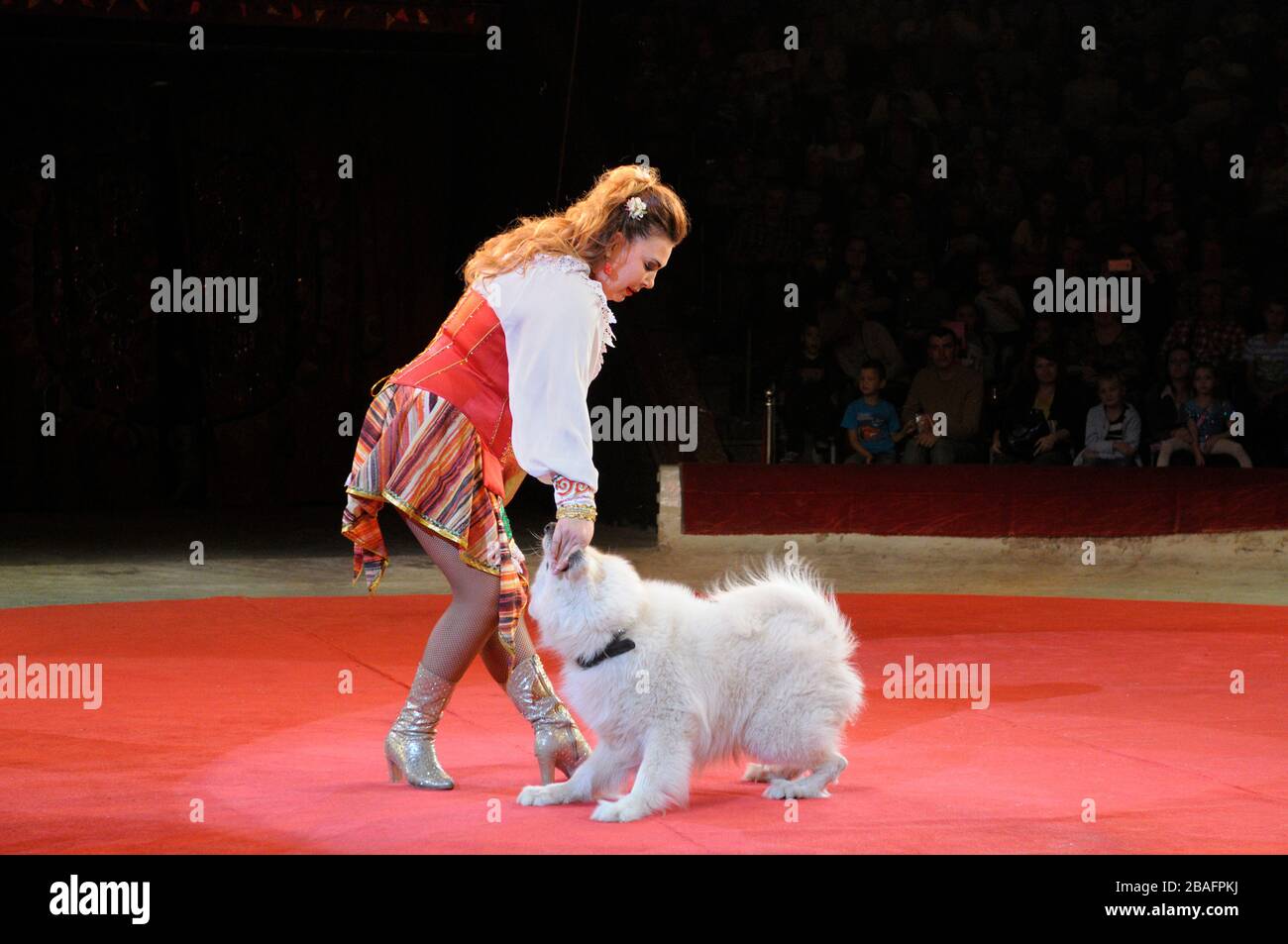 Circus trainer woman hi-res stock photography and images - Alamy