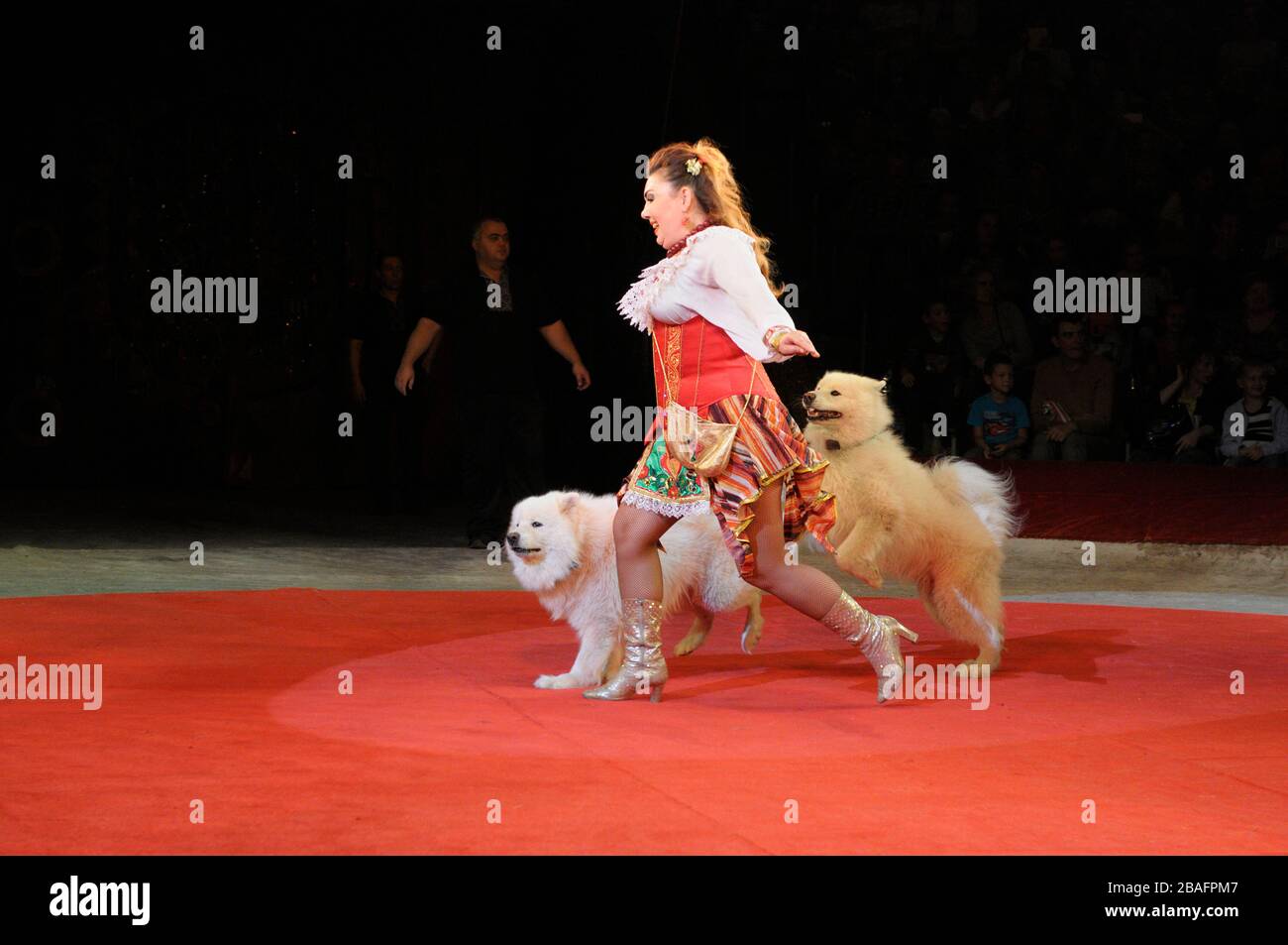 Female trainer and well trained dogs performing in the ring of the ...