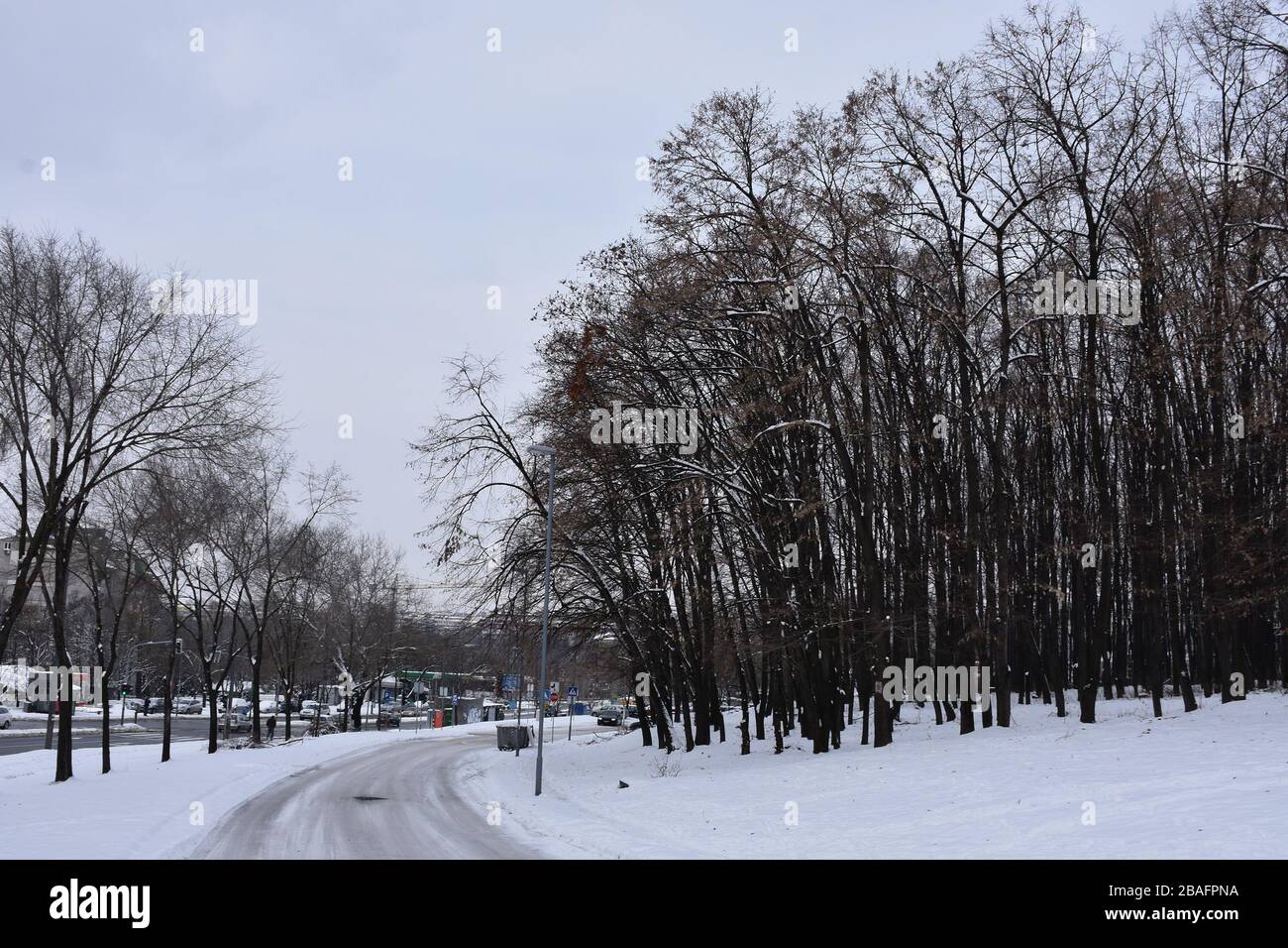 Black ice on footpath hi-res stock photography and images - Alamy