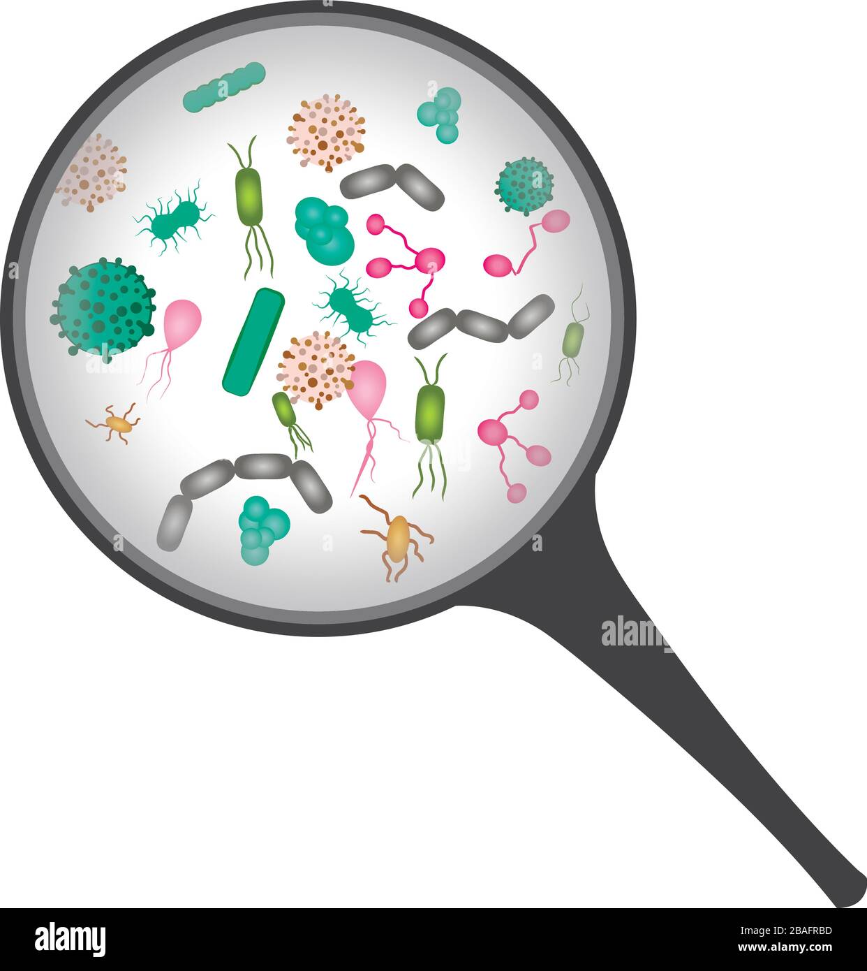 Microbes under a magnifying glass Stock Vector Image & Art - Alamy
