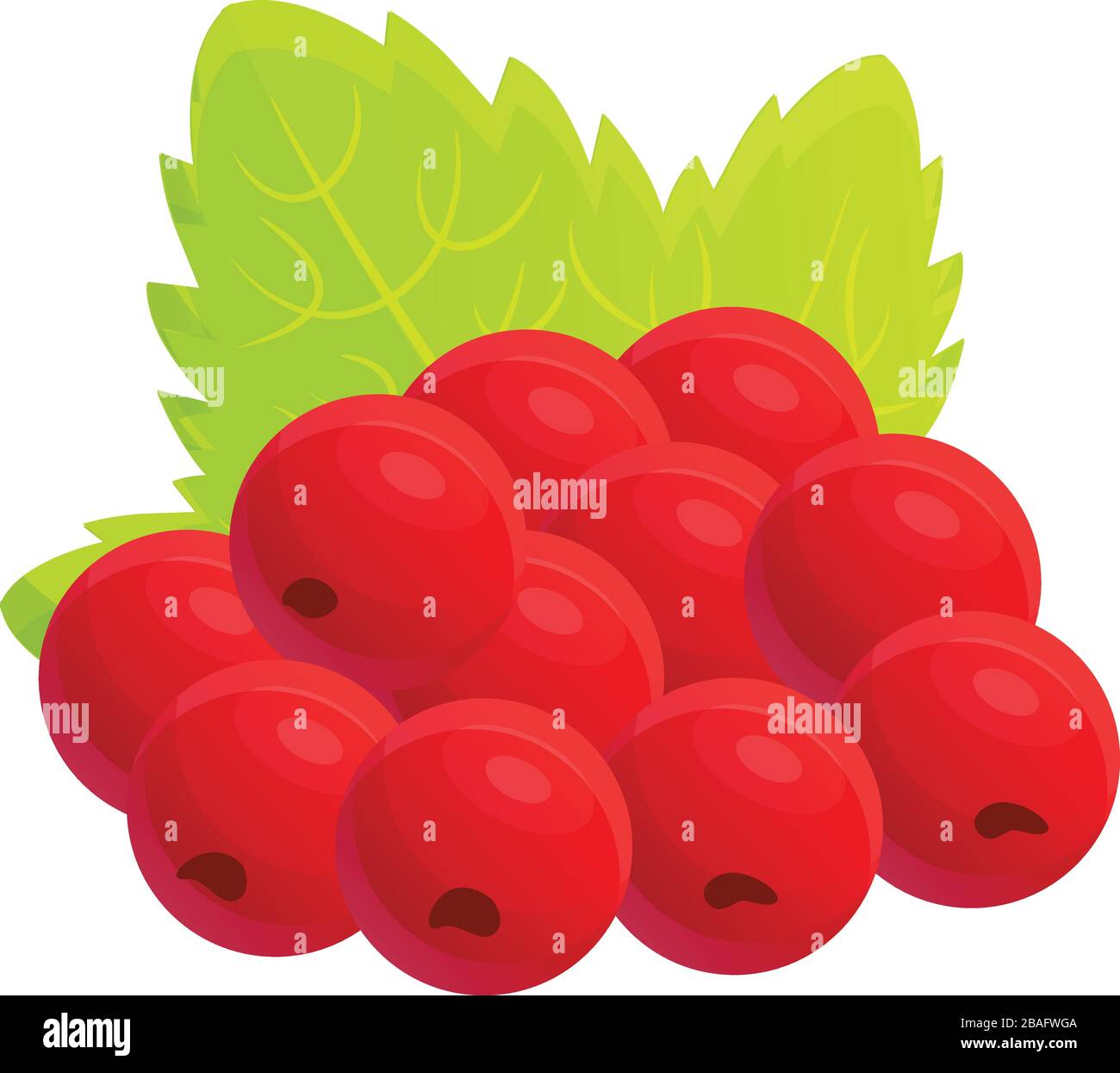 Currant berry icon. Cartoon of currant berry vector icon for web design ...