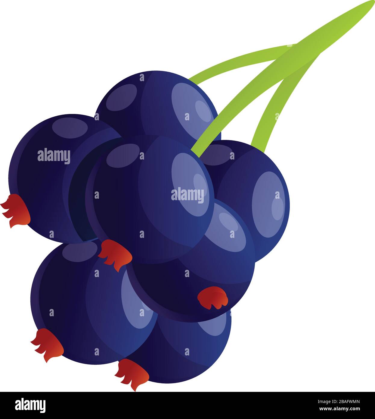 Black currant icon. Cartoon of black currant vector icon for web design ...