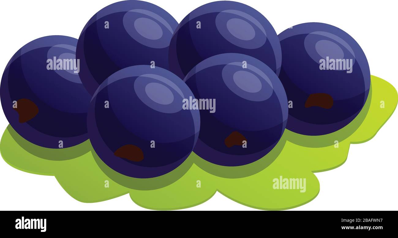 Blueberry icon. Cartoon of blueberry vector icon for web design ...