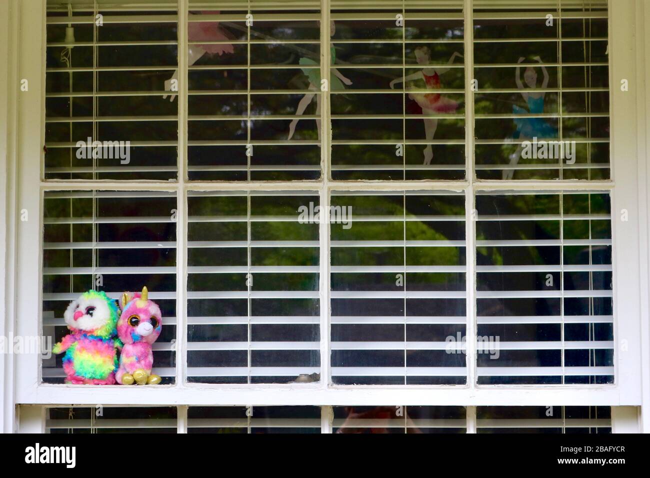Stuffed animals in window with blinds for neighborhood scavenger hunt ...