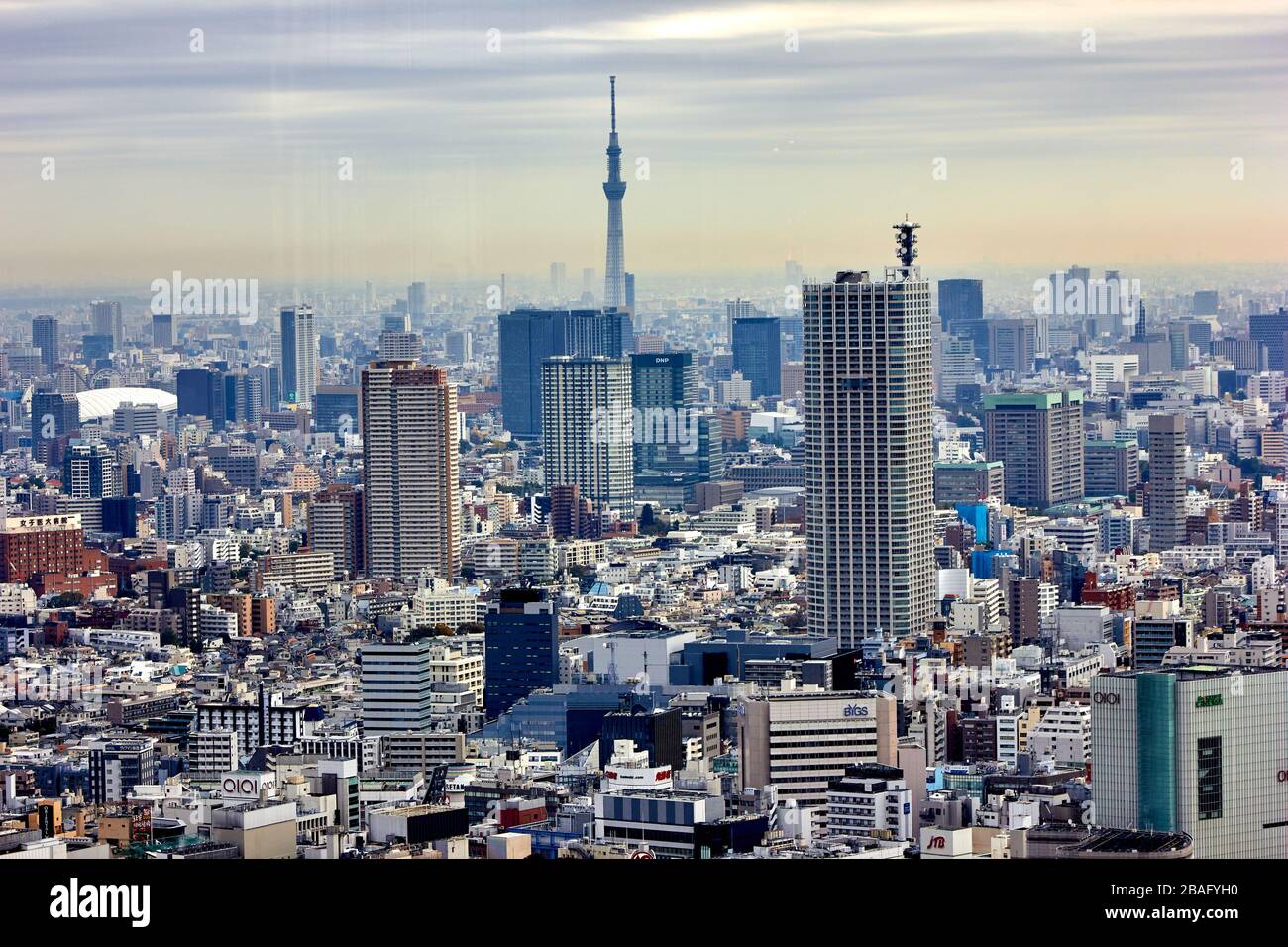 Tokyo view from the top hi-res stock photography and images - Alamy