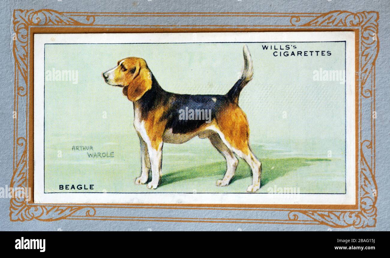 Wills cigarette cards hi-res stock photography and images - Alamy