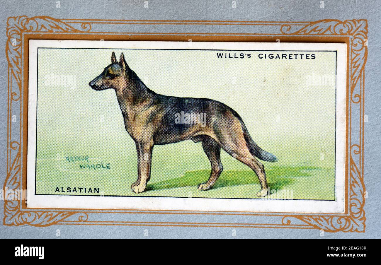 Wills cigarette cards hi-res stock photography and images - Alamy