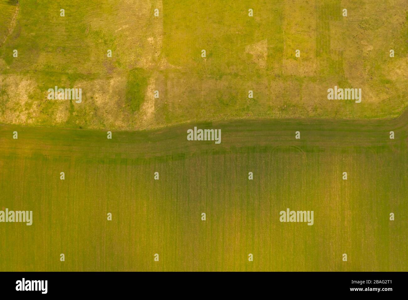 Green scene from above: field and pasture Stock Photo - Alamy