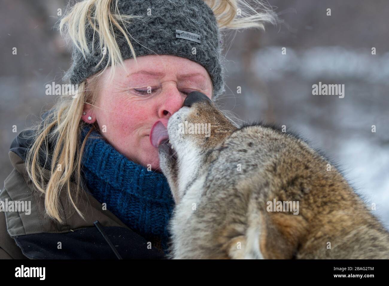 Woman interacting with animals hi-res stock photography and images - Alamy