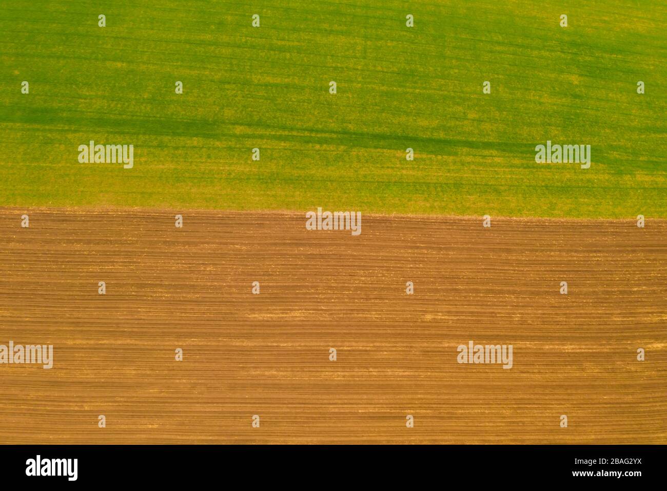 Fields texture from above during springtime, half green half ground ...