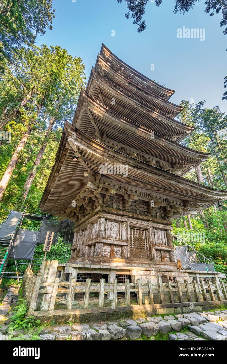 Five Story Pagoda surounded by Sugi trees at Mount Haguro, One of the ...