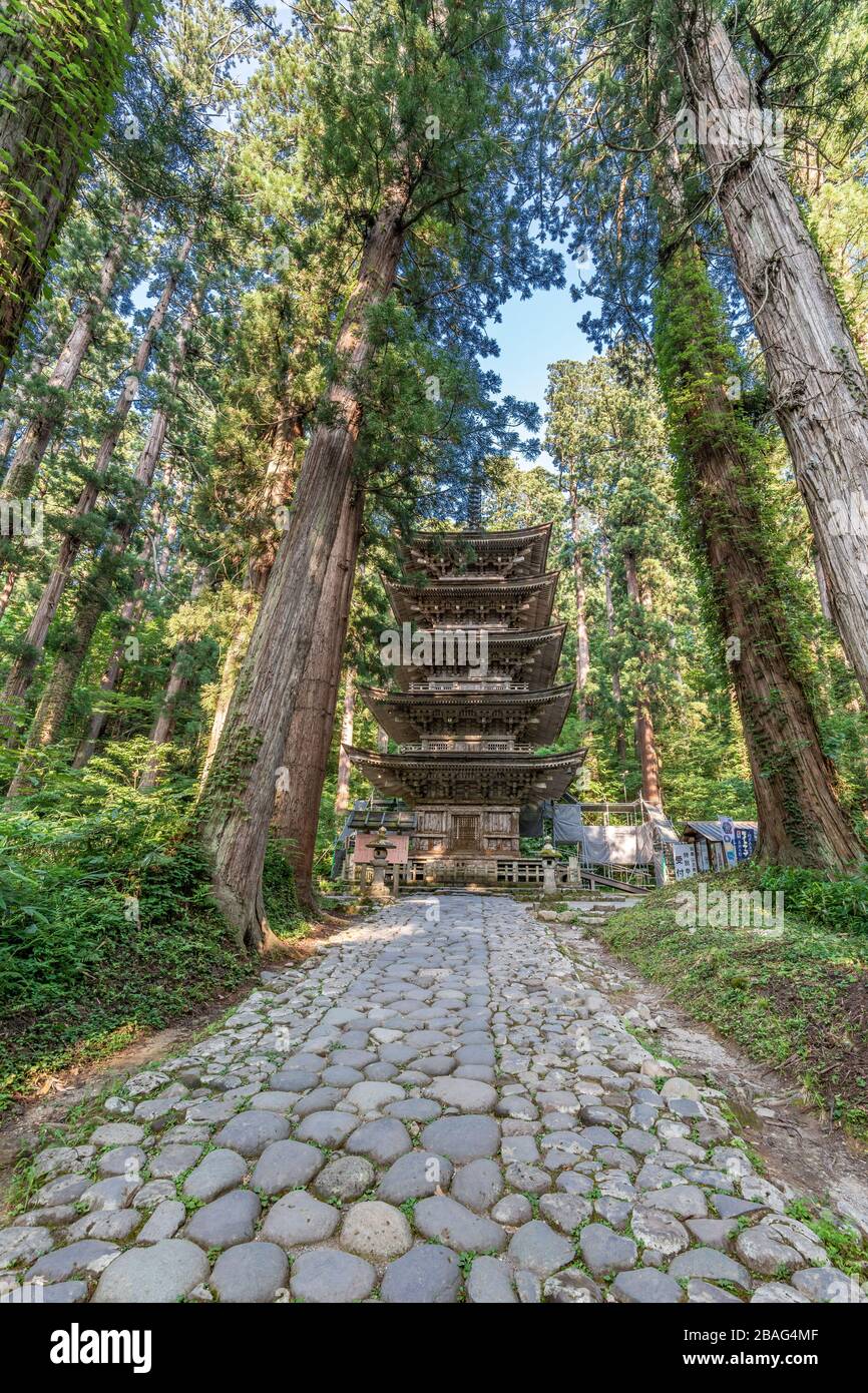 Five Story Pagoda surounded by Sugi trees at Mount Haguro, One of the ...