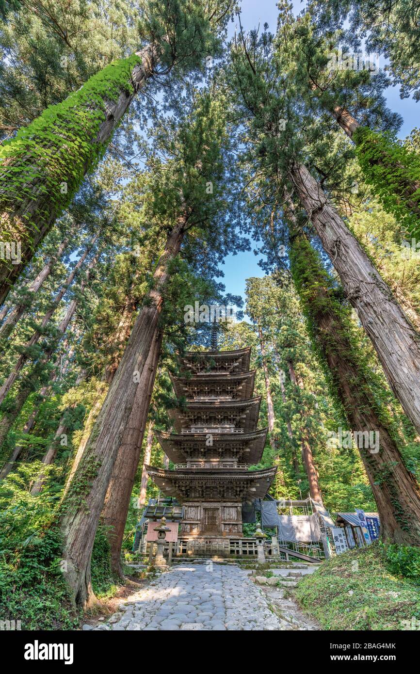 Five Story Pagoda surounded by Sugi trees at Mount Haguro, One of the ...