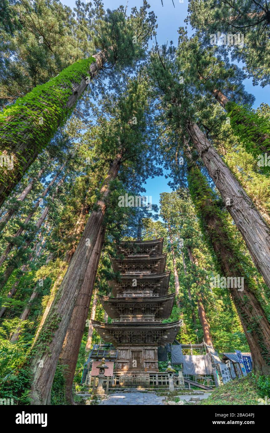 Five Story Pagoda surounded by Sugi trees at Mount Haguro, One of the ...