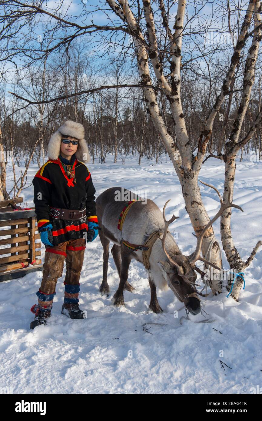 A teenage Sami boy with a reindeer in the snow at the Sami village of ...