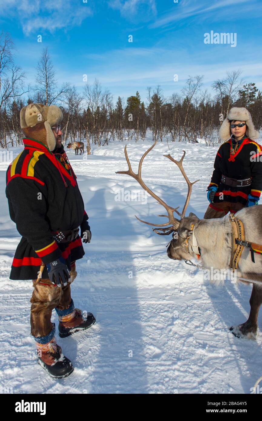 A Sami father with his teenage boy and a reindeer in the snow at the ...
