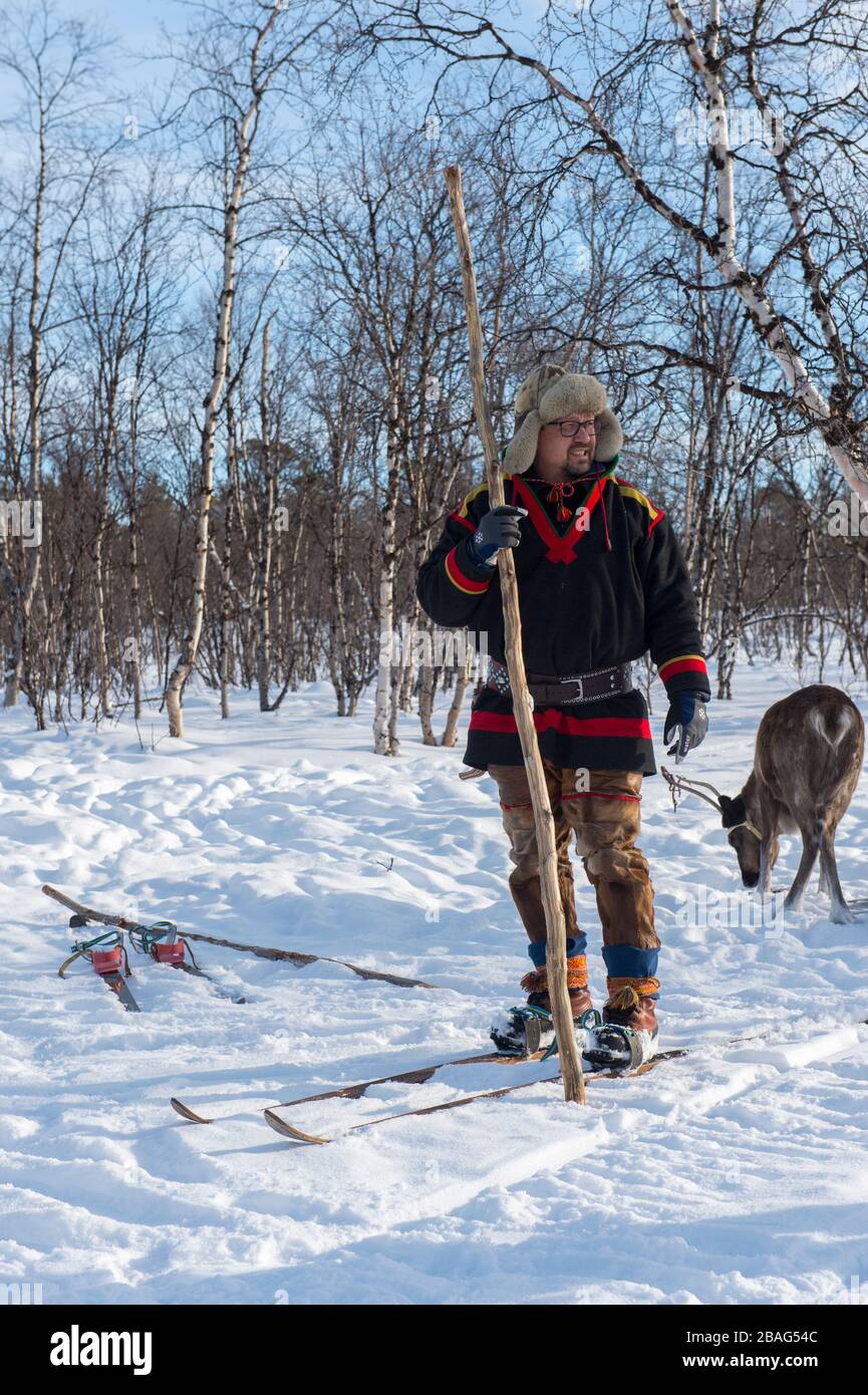 Sami man in the snow on traditional Sami skis at the Sami village of ...