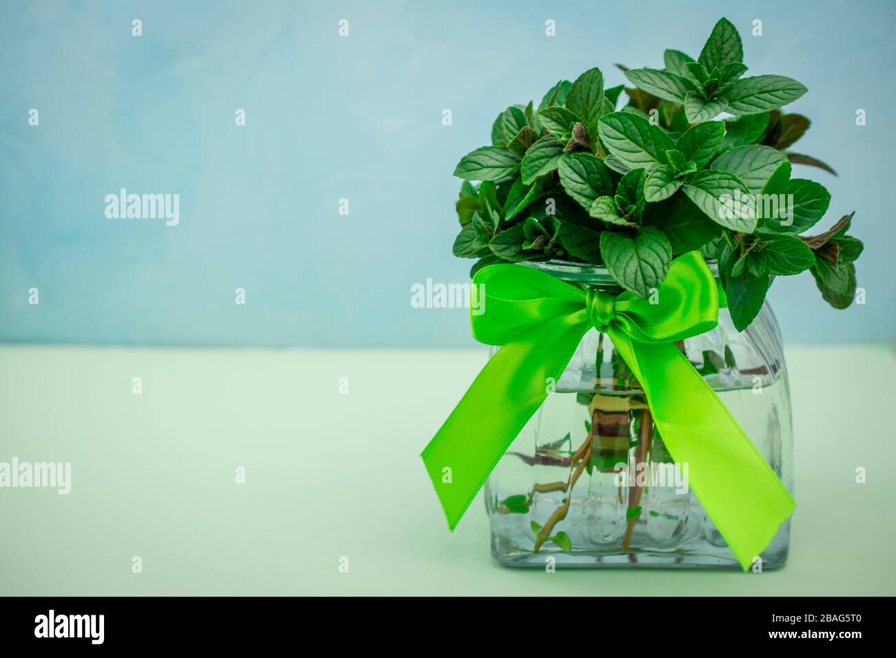 green fresh mint background Stock Photo - Alamy
