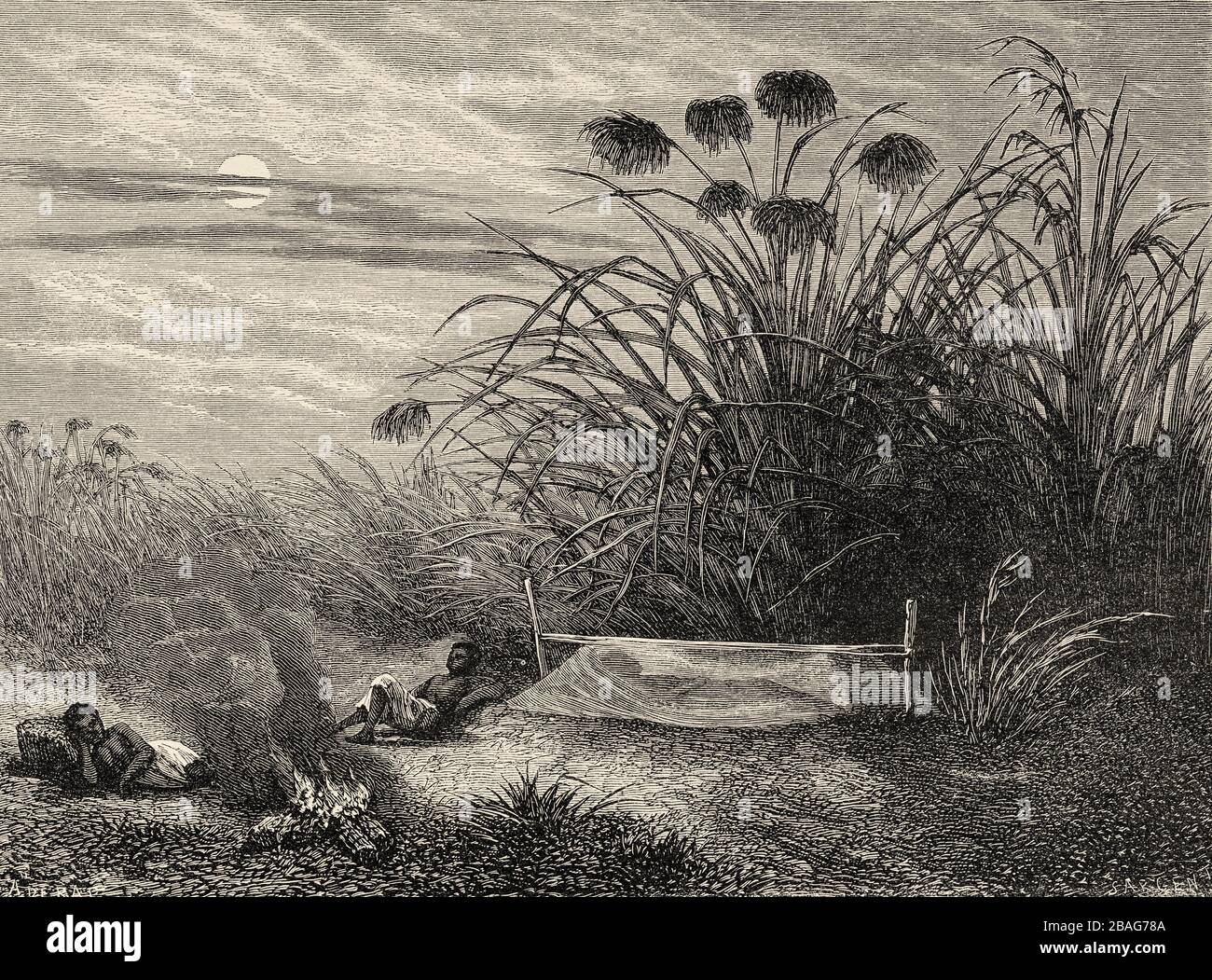 Mosquito net of Dr David Livingstone. The Last Journals of David ...