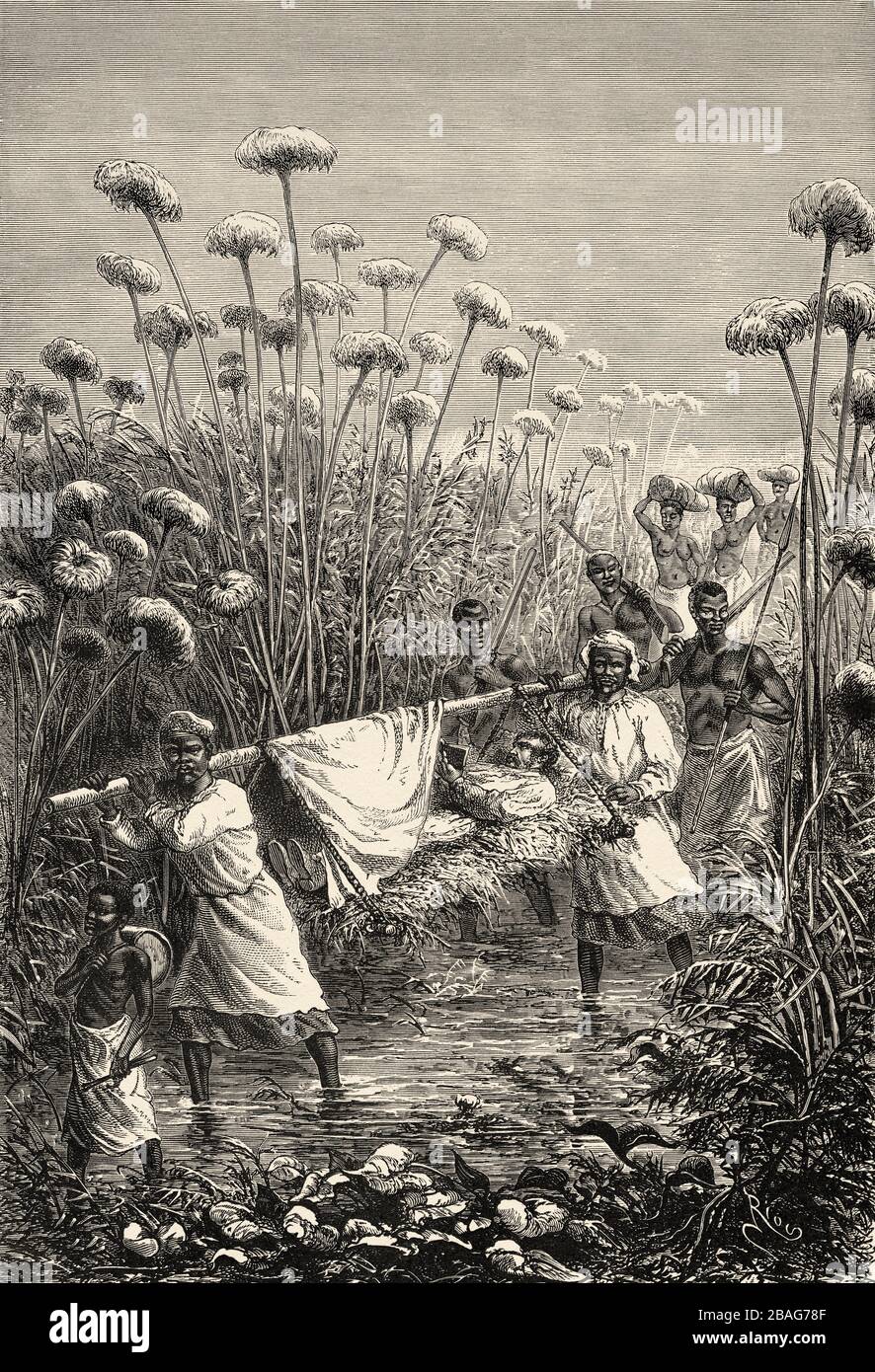 David Livingstone being carried on a makeshift stretcher through the ...