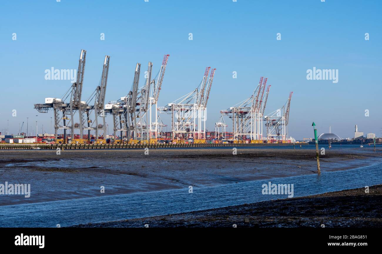At a stand still the Container Berths at the DPWS Container Terminal ...