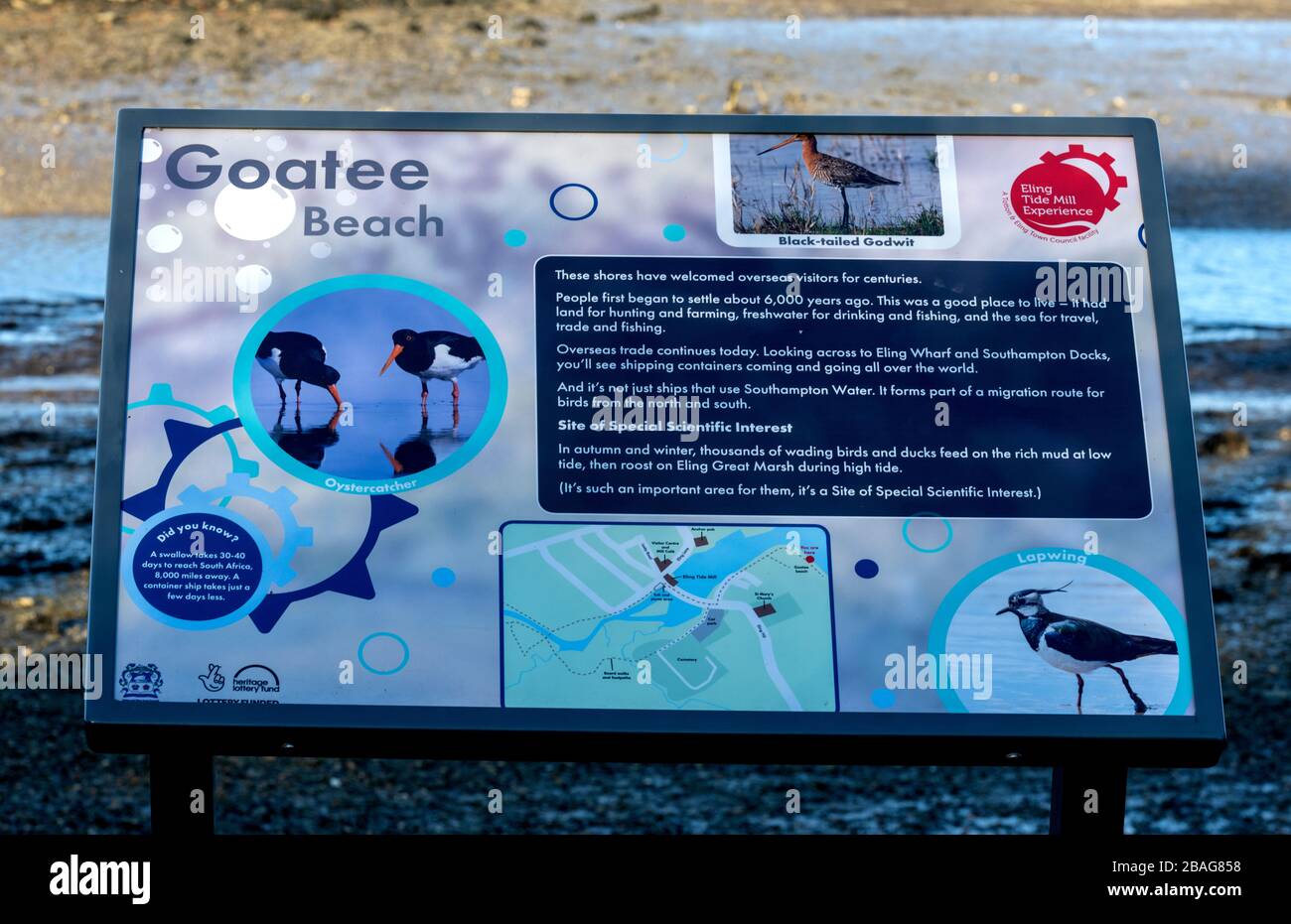 Tourist information sign at Goatee Beach, Eling, Totton, Southampton ...