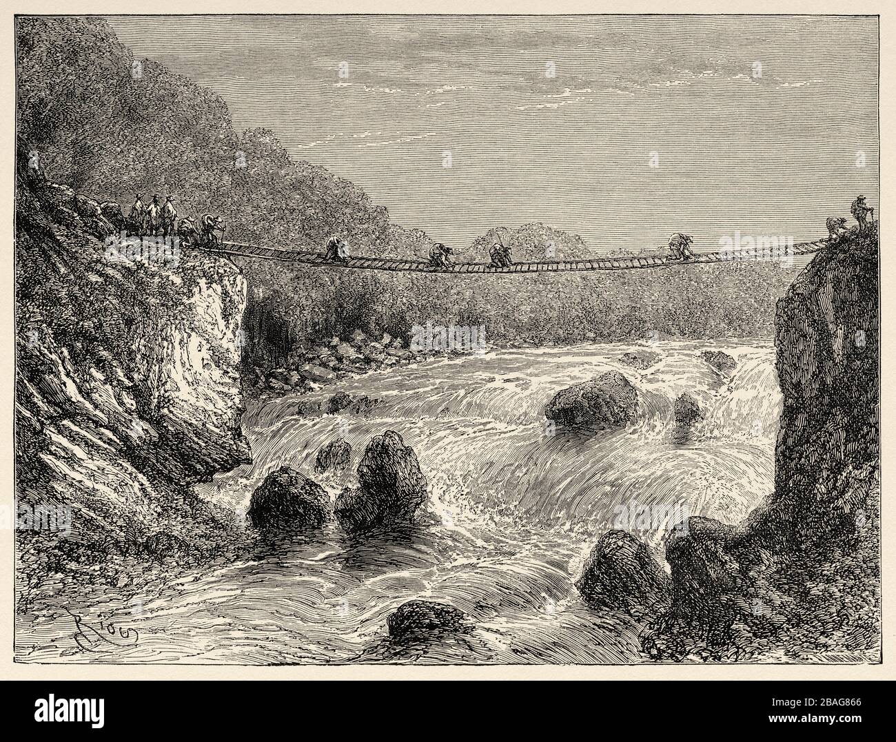 Journal jungle bridge hi-res stock photography and images - Alamy