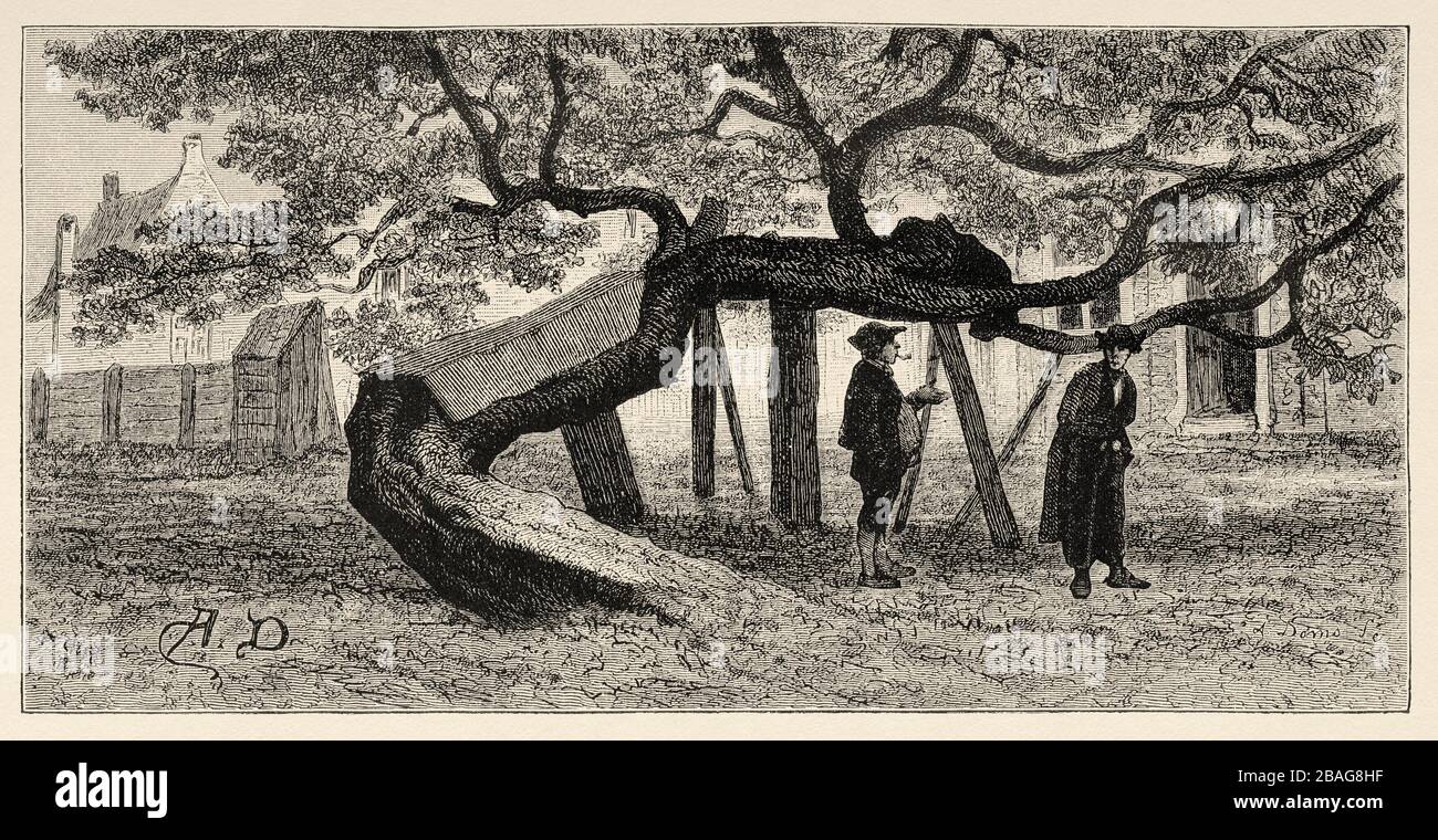 Vintage drawing of charles de coster hi-res stock photography and ...