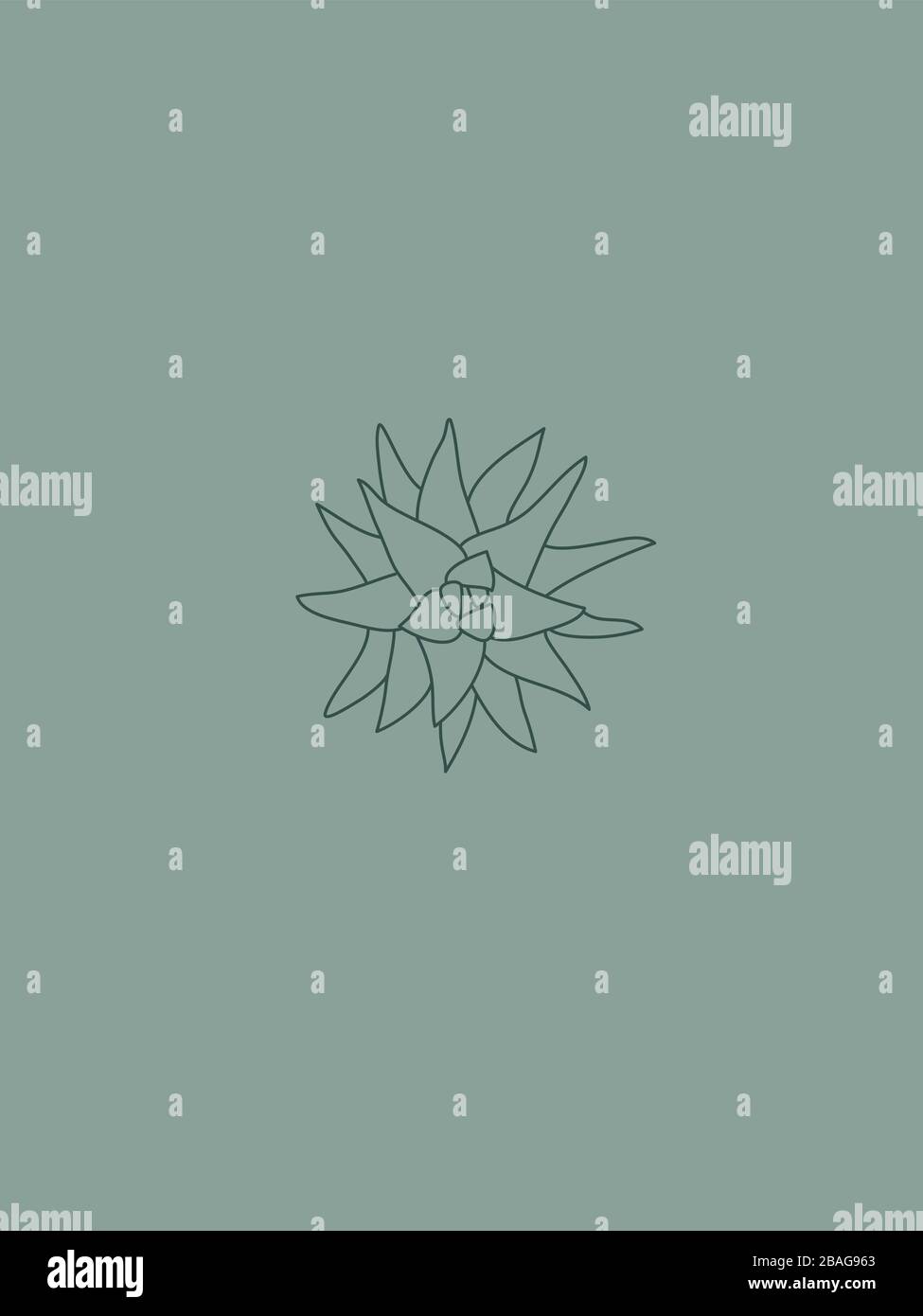 Botanical line art green Stock Vector Images - Alamy