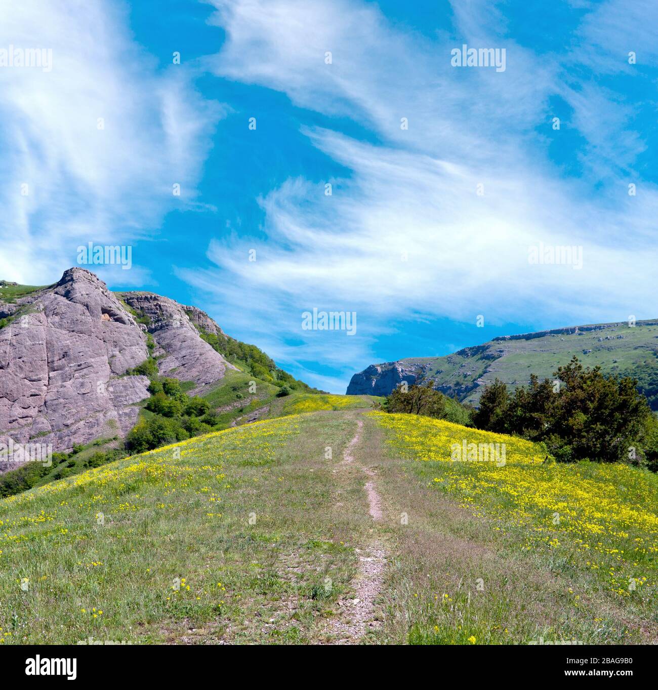 Nice summer walk hi-res stock photography and images - Alamy