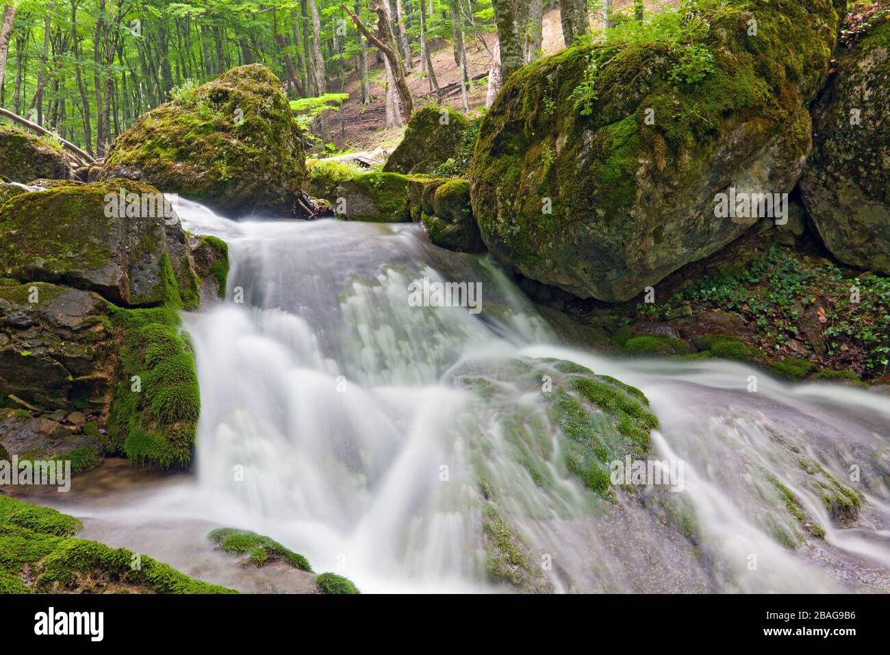 Nice waterfall in green forest Stock Photo - Alamy