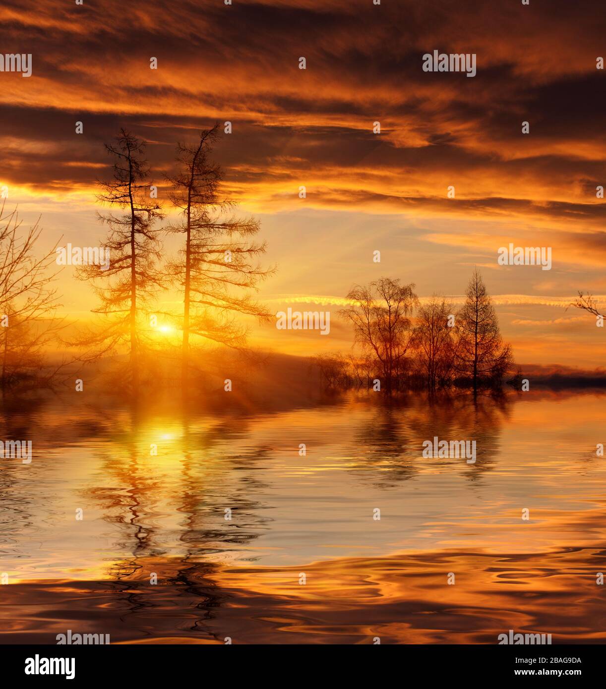nice sunset scene on lake Stock Photo - Alamy