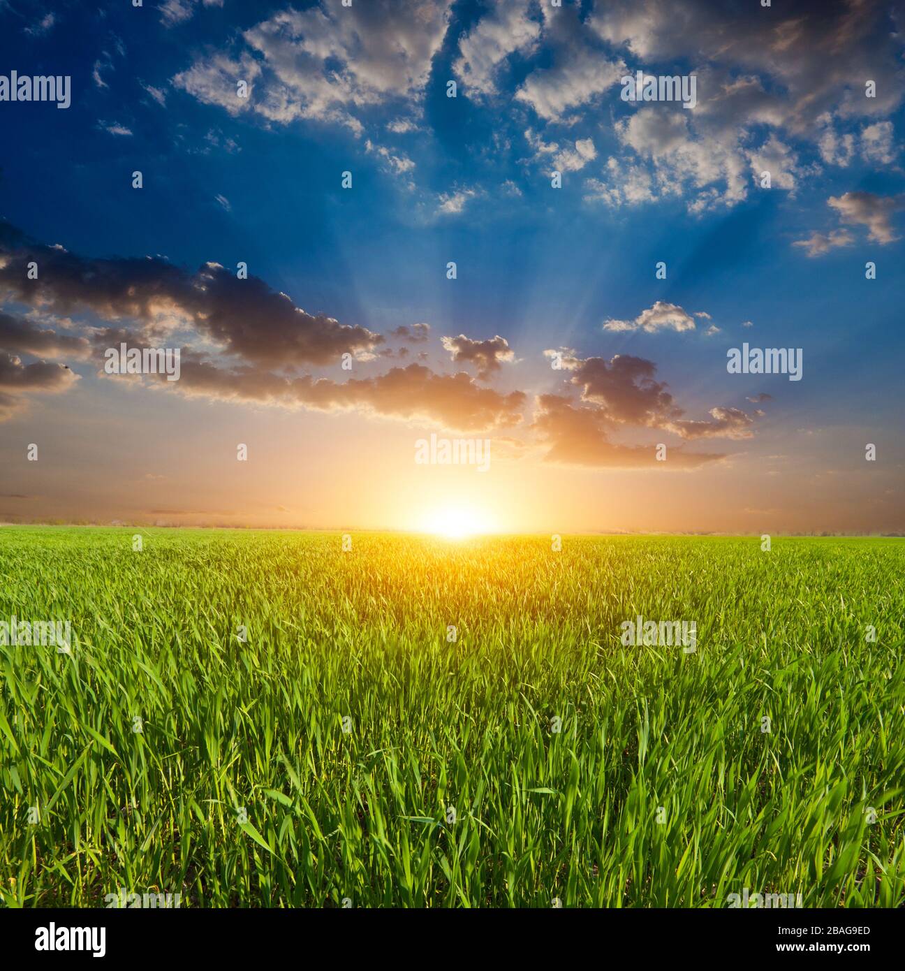 Boundless steppe hi-res stock photography and images - Alamy