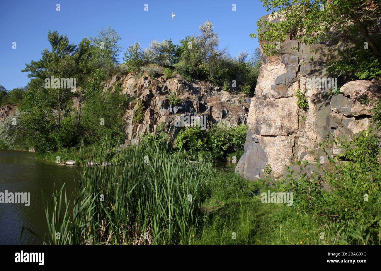 Former stone quarry. Nature Restoration. Summer landscape with river ...