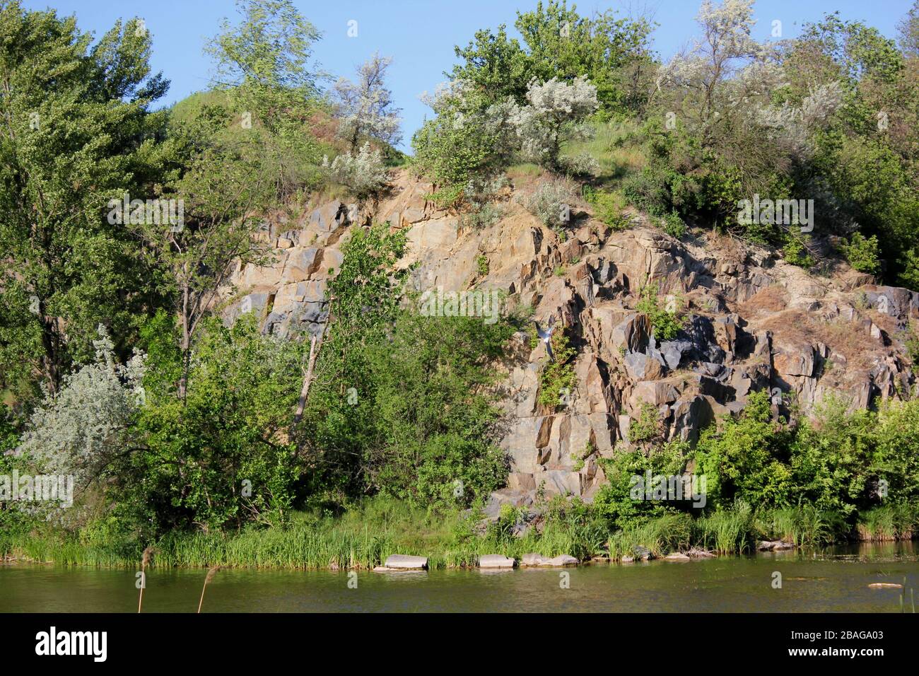 Former stone quarry. Nature Restoration. Summer landscape with river ...