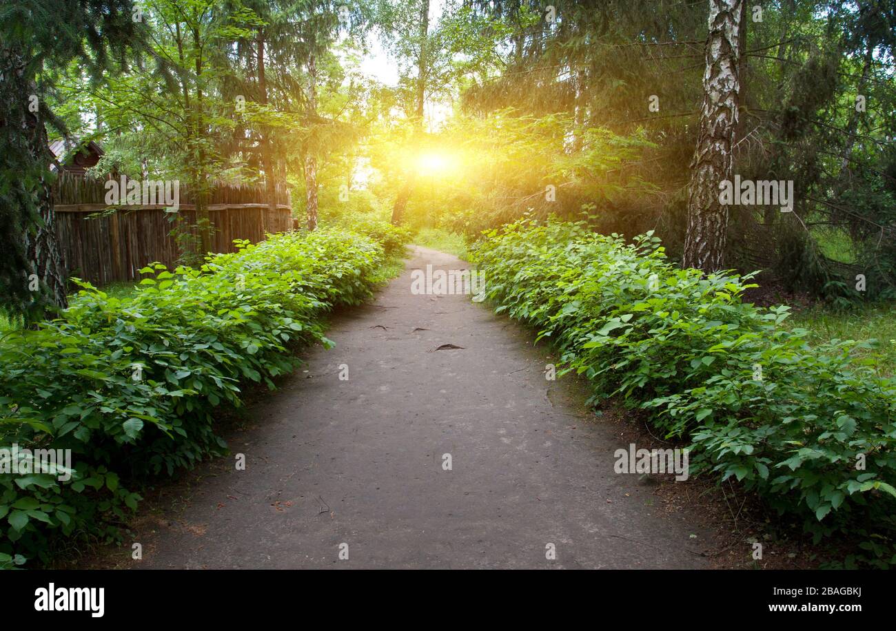 Pathway in park hi-res stock photography and images - Alamy