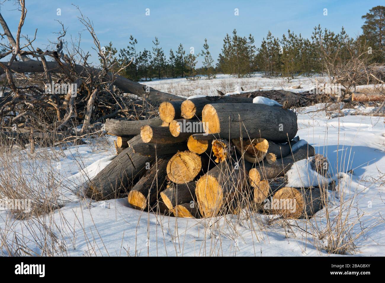 Firewood store hi-res stock photography and images - Alamy
