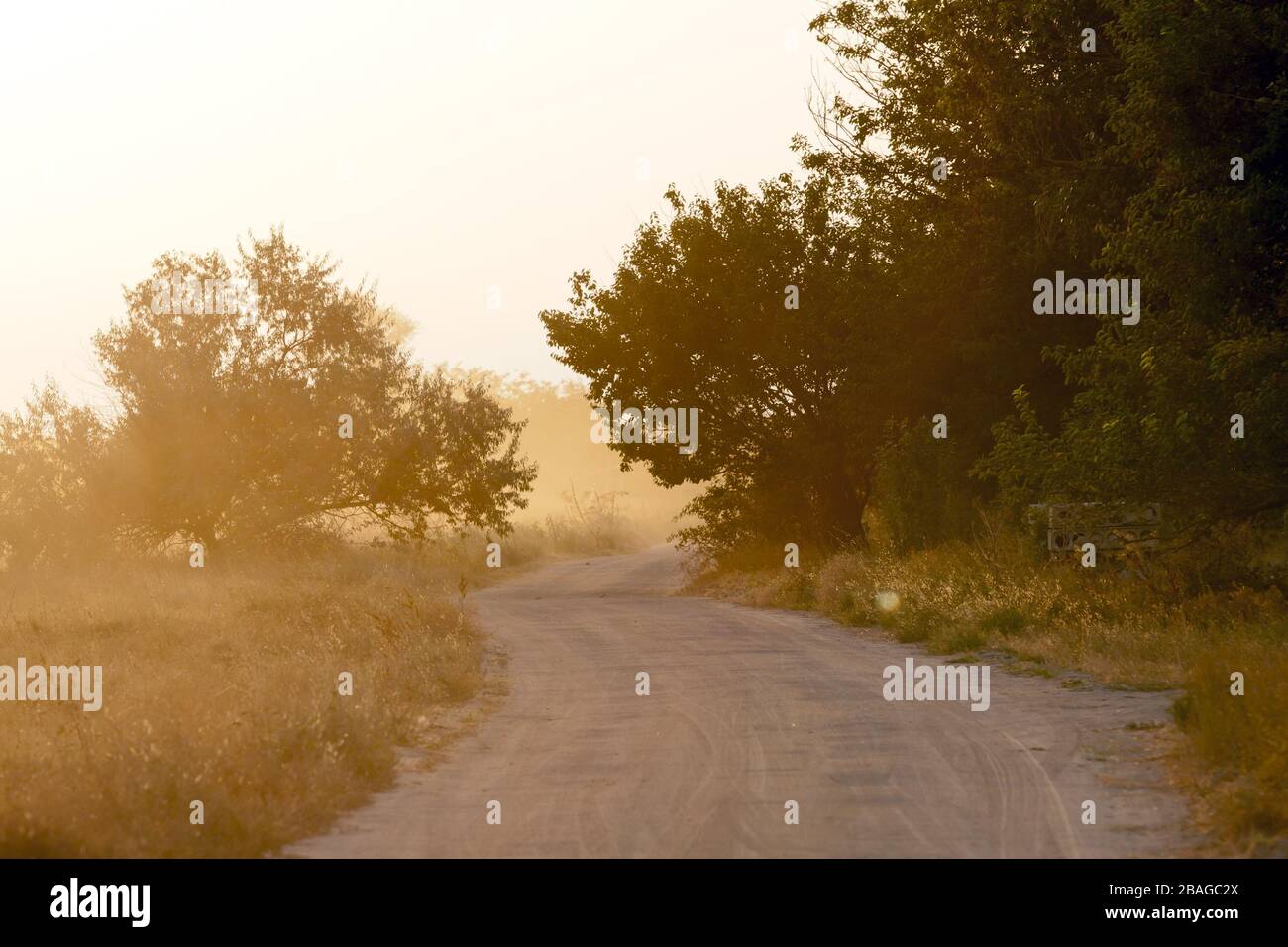 Misty morning ground road hi-res stock photography and images - Alamy