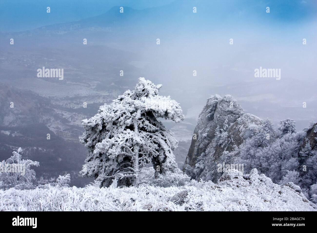 Winter scene in mountains. Crimea, Ukraine Stock Photo - Alamy