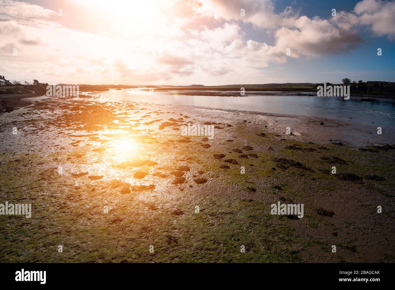 Sand banks low tide river hi-res stock photography and images - Alamy