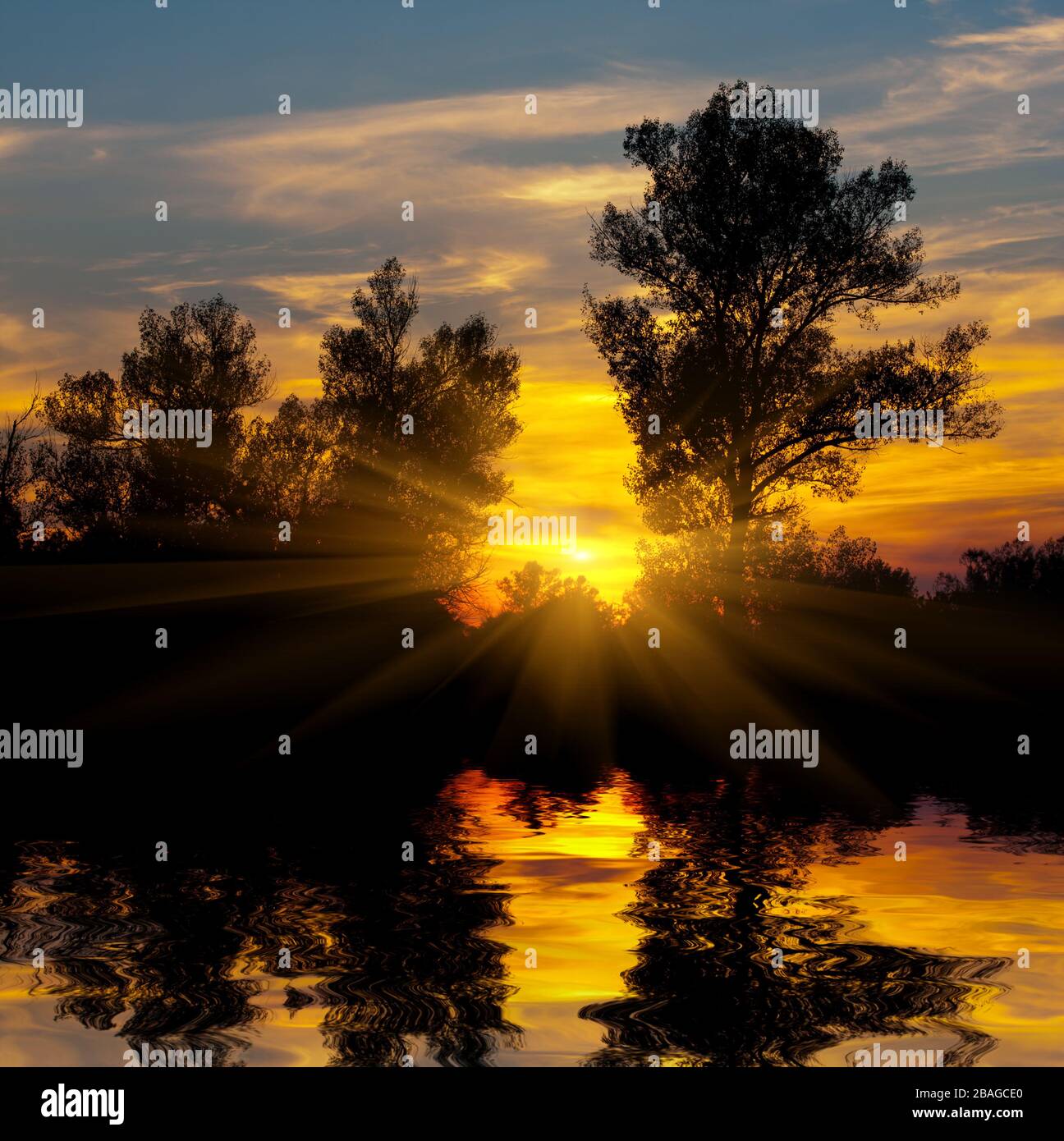Nice moonlight hi-res stock photography and images - Alamy