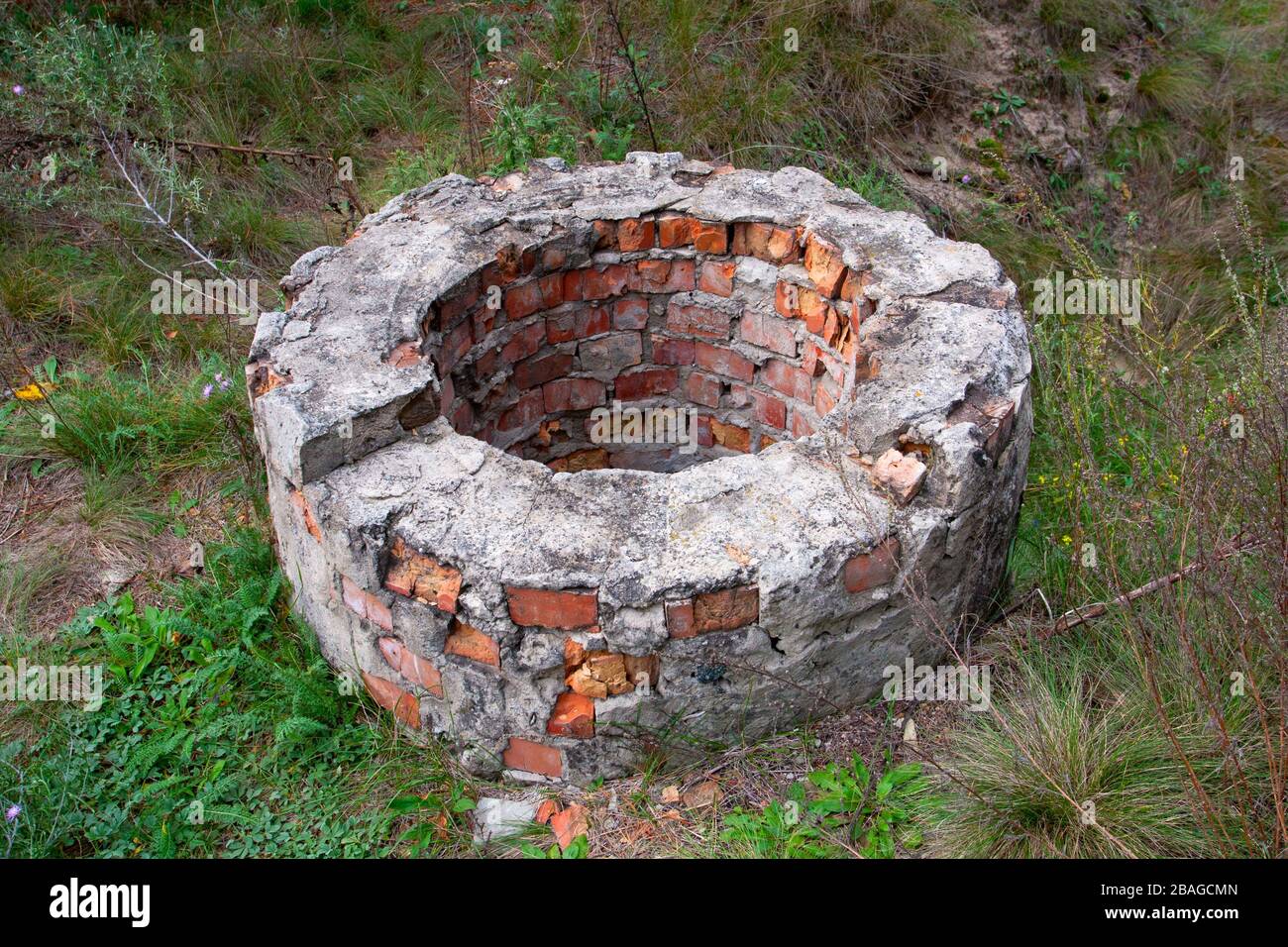 abandoned well in forest Stock Photo - Alamy