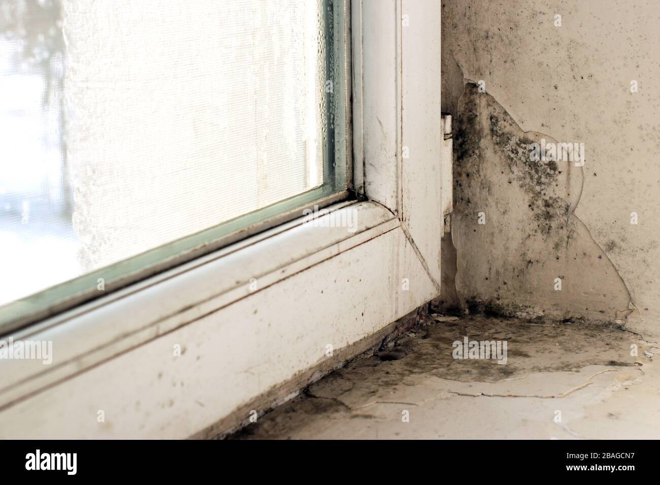 Mold on the slope near the window Stock Photo - Alamy