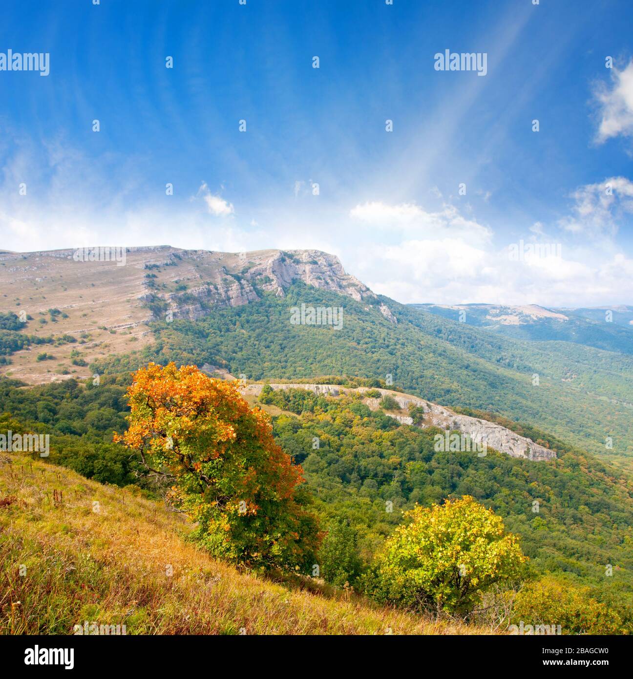 Brasstown bald mountain hi-res stock photography and images - Alamy