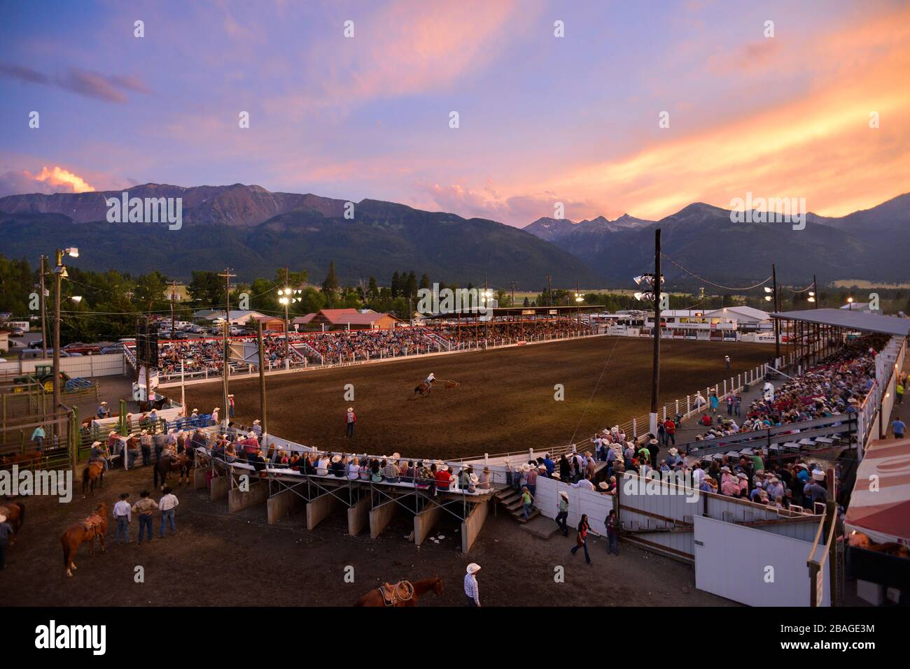 Harley tucker memorial arena hi-res stock photography and images - Alamy