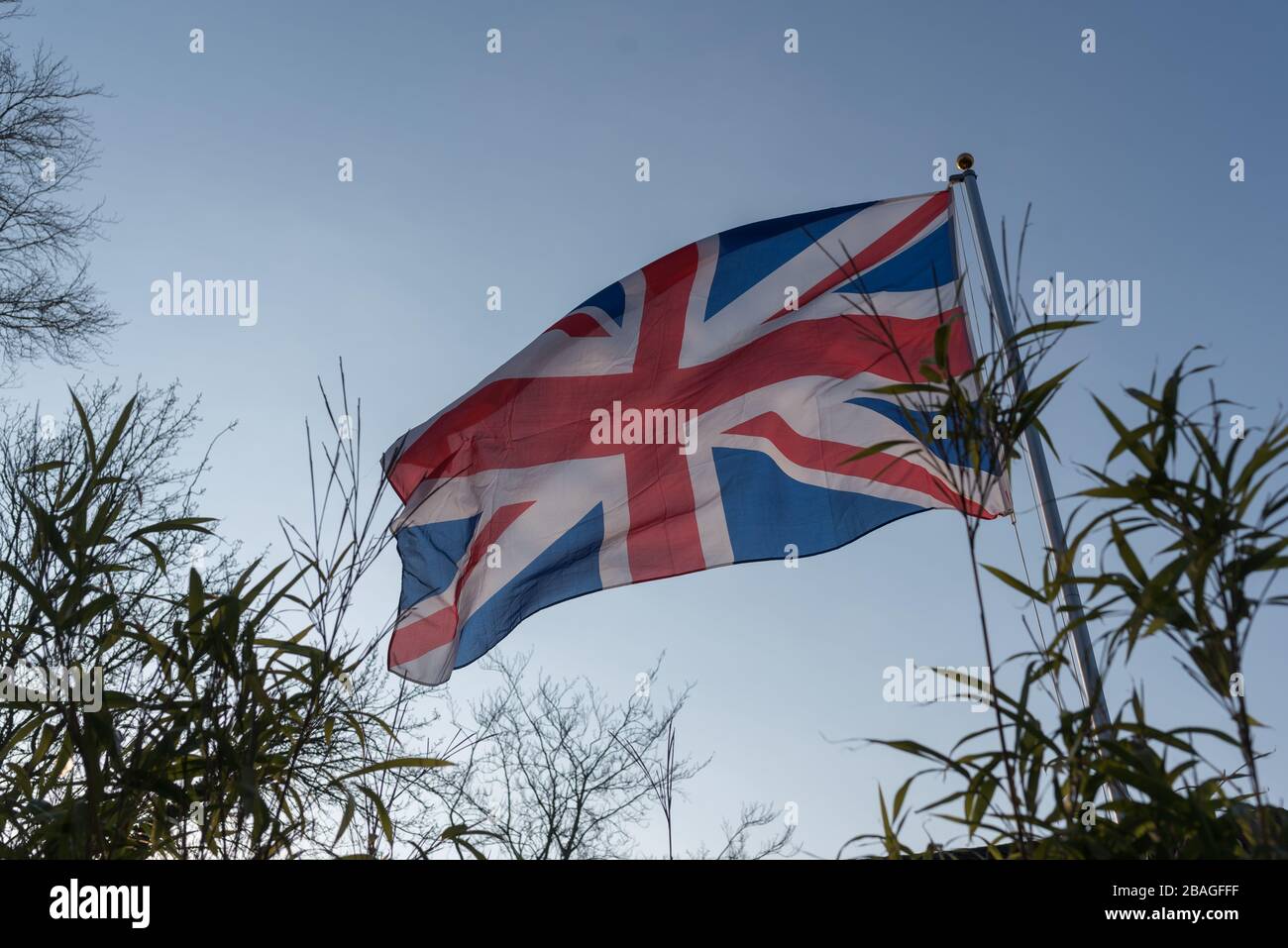 Union Jack flag flapping in the wind blue sky and trees in background ...