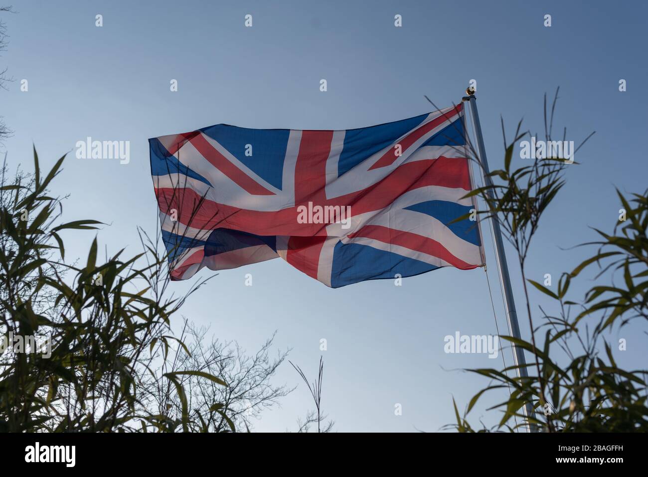Union Jack flag flapping in the wind blue sky and trees in background ...