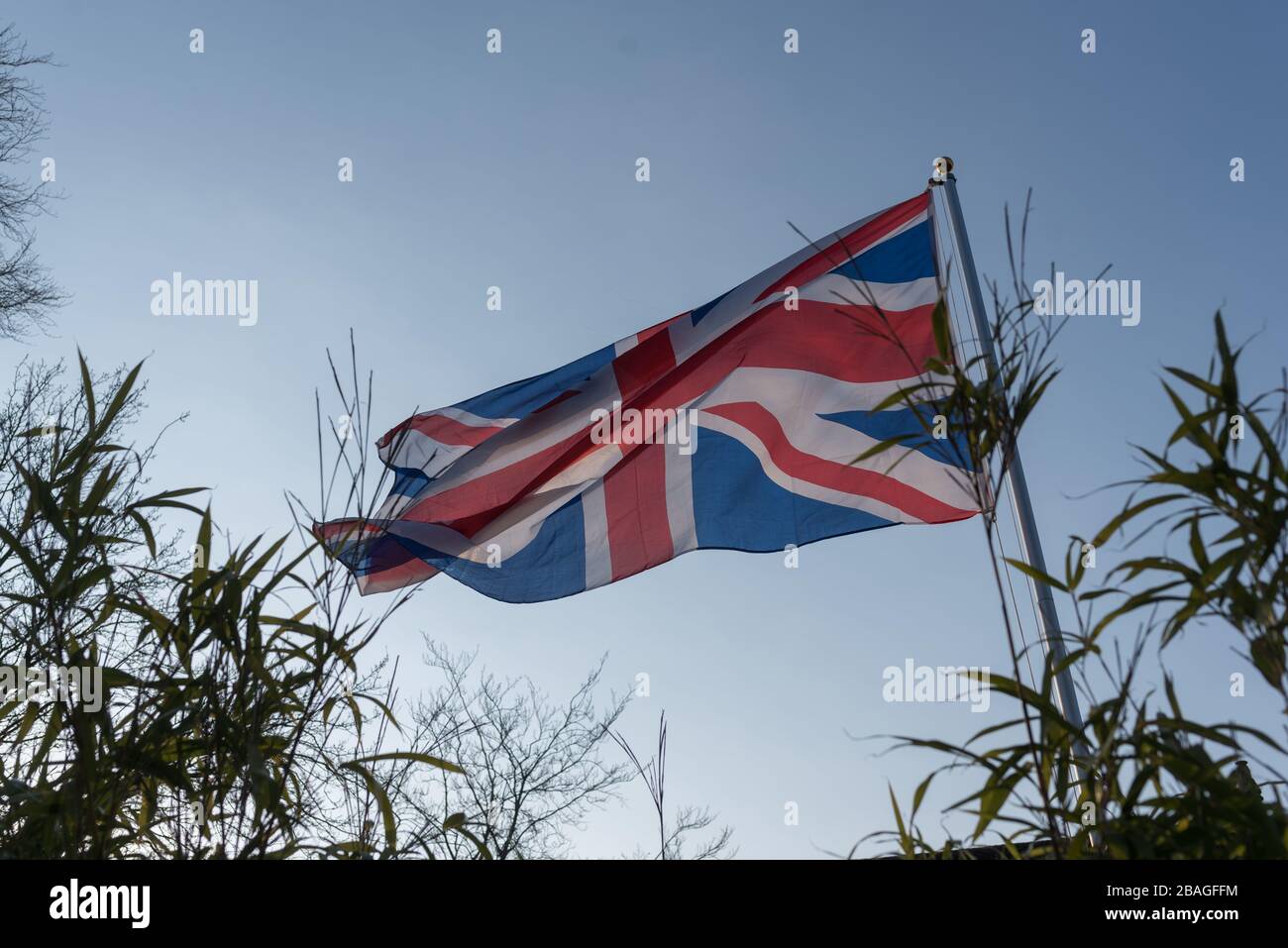 Union Jack flag flapping in the wind blue sky and trees in background ...