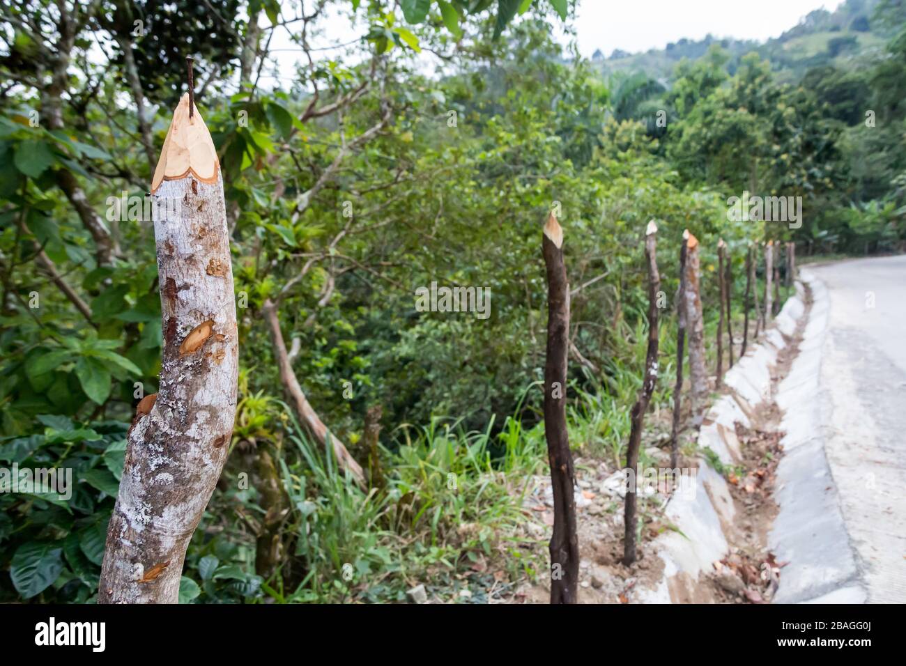 Bob wire fence hi-res stock photography and images - Alamy