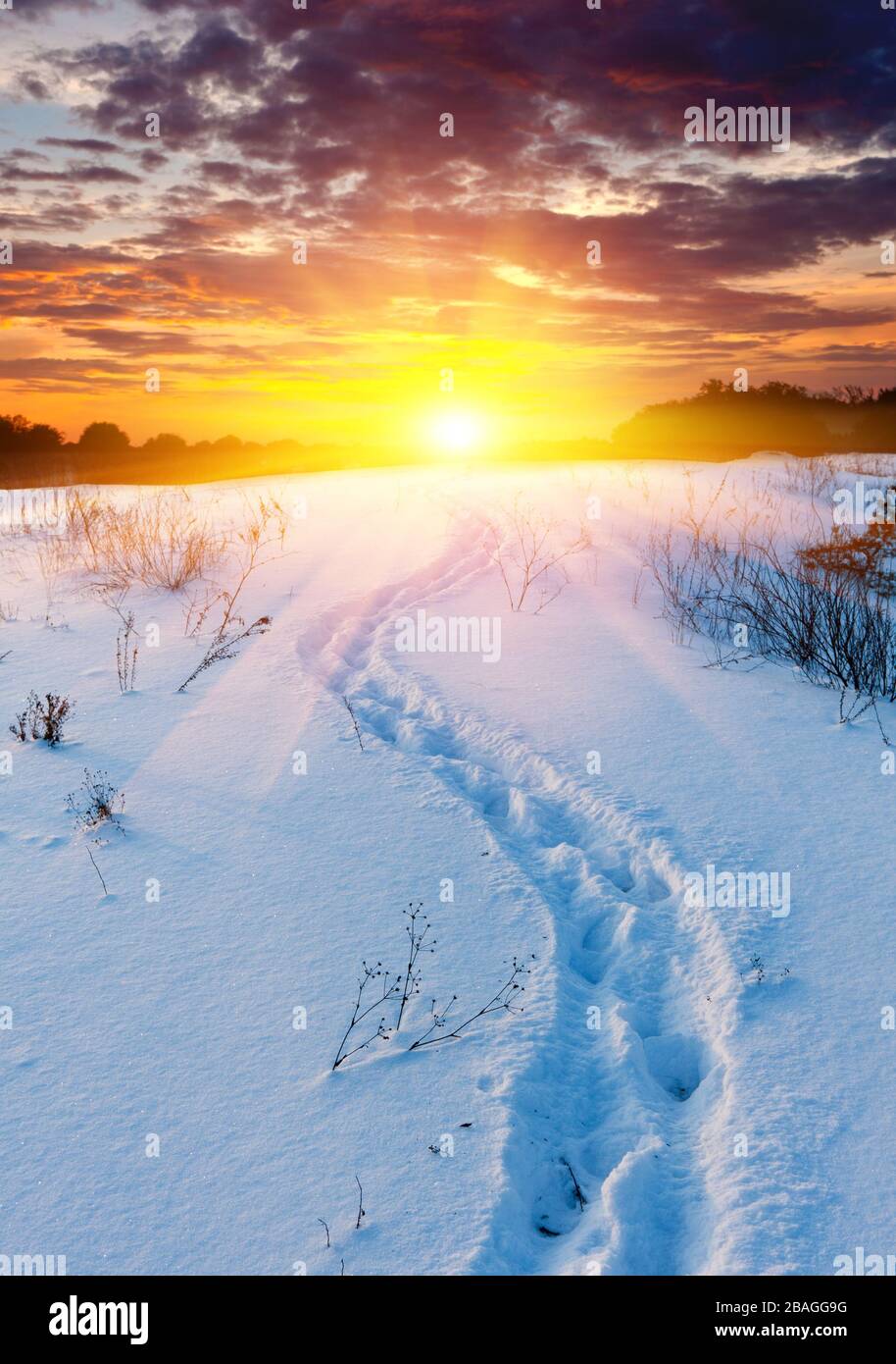 Scene with snow-path in steppe on sunset background Stock Photo - Alamy